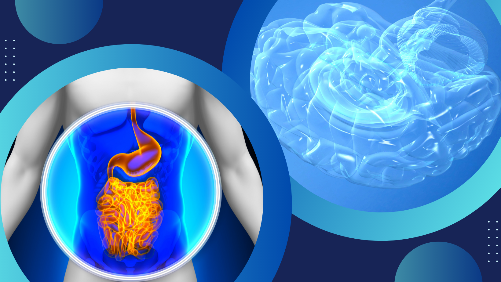 The Fascinating Link Between Gut Health and Mental Health: Exploring ...