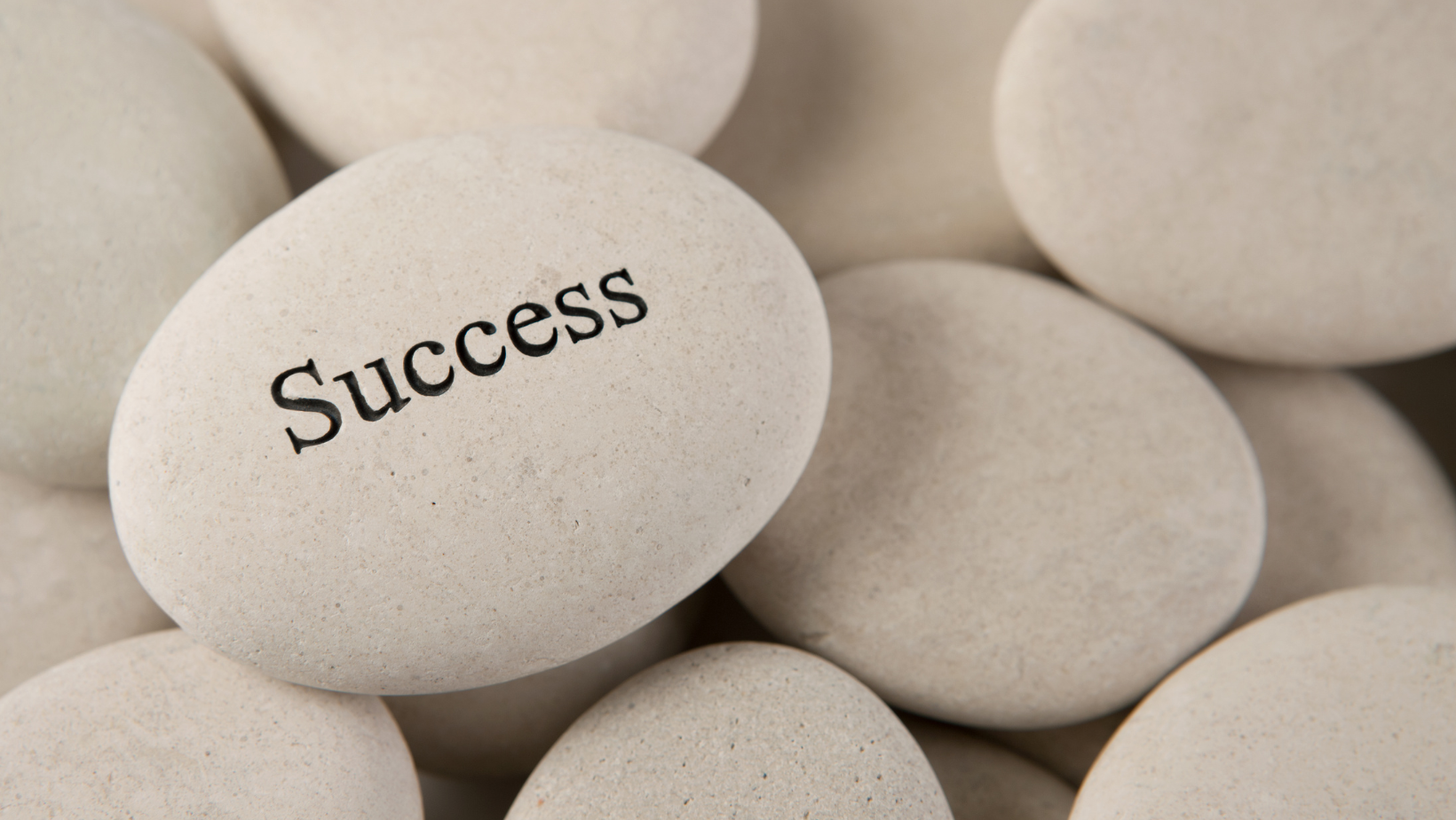 Why You Should Stop Playing It Safe and Go After Your Dreams – Steve Lofton